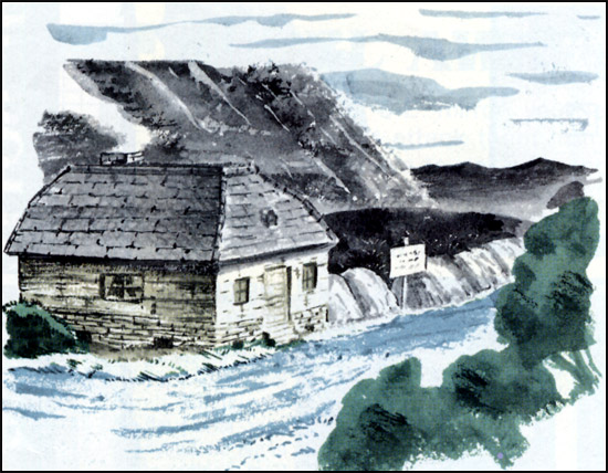 The Legend of Zelda: Link's Awakening picture