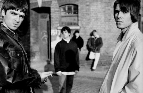 Picture of Oasis