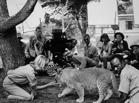 Picture of Born Free