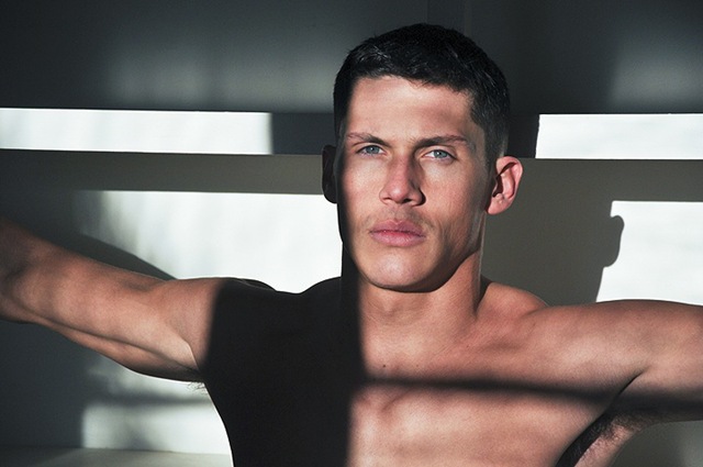 Picture of ZEB RINGLE