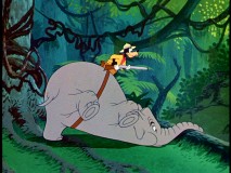 Picture of Tiger Trouble