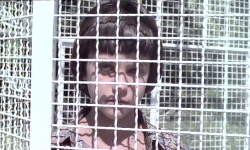 Picture of L'immoralità