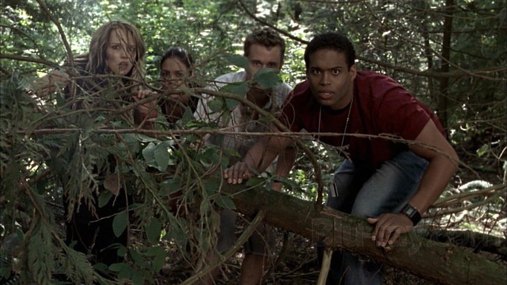 Picture of Wrong Turn 2: Dead End