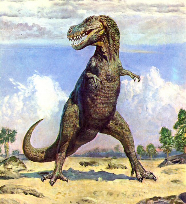 Tyrannosaurus rex