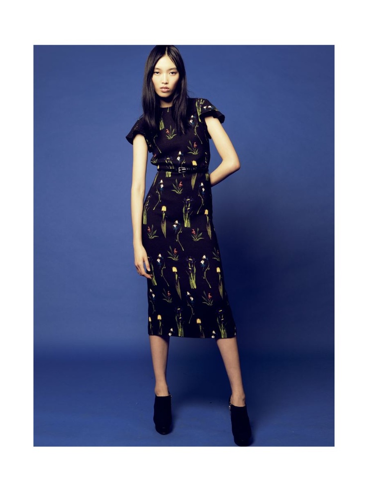 Picture of Lauren Nguyen