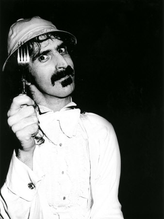 Picture of Frank Zappa