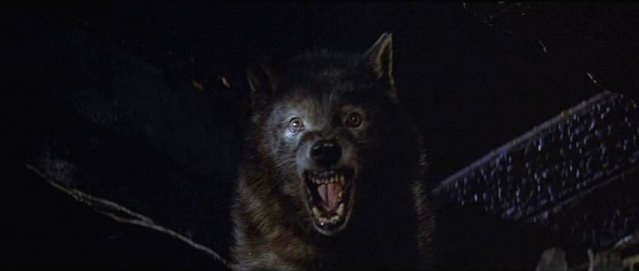 Wolfen picture