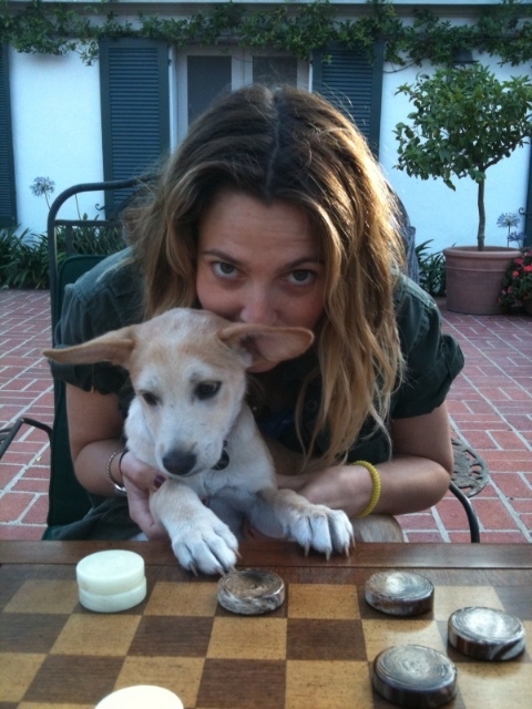 Picture of Drew Barrymore