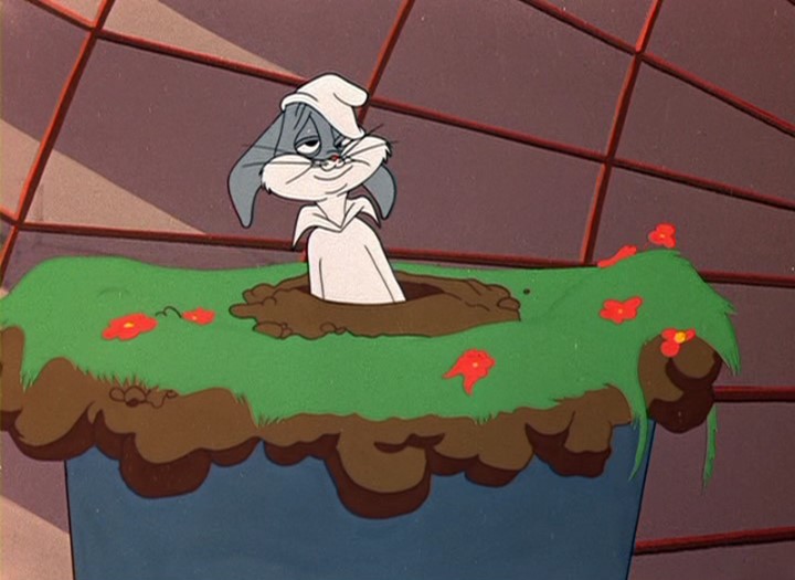 Picture of Homeless Hare (1950)