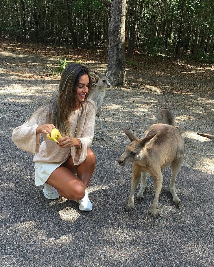Carol Chafauzer