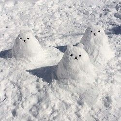 Snow Mice