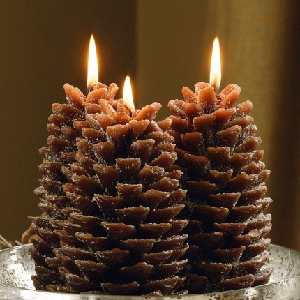 Pine Cone Candles