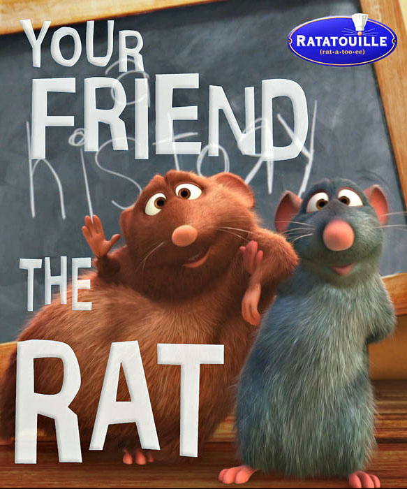 Picture of Your Friend the Rat