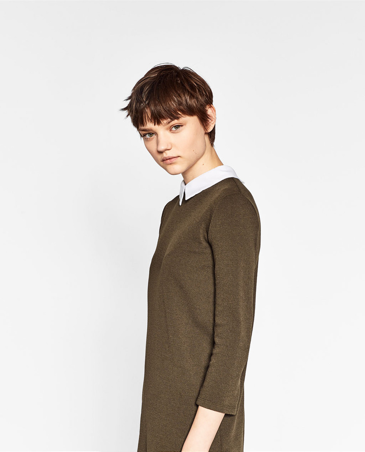 Picture of Pasha Harulia