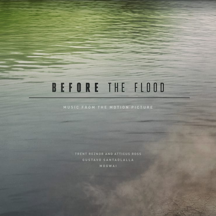 Image of Before the Flood