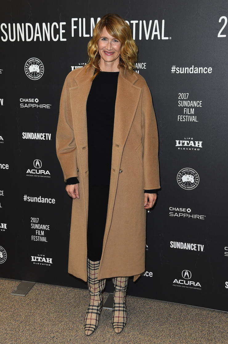 Picture of Laura Dern