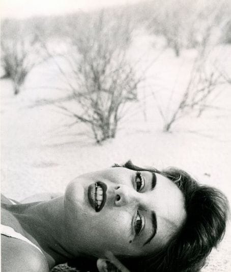 Image of Allison Hayes