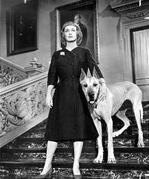 Picture of Dead Ringer (1964)