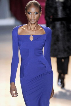 Picture of Animata Niaria