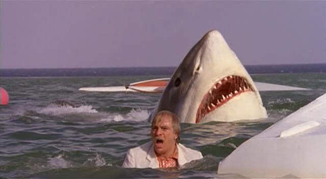 Picture of The Last Shark