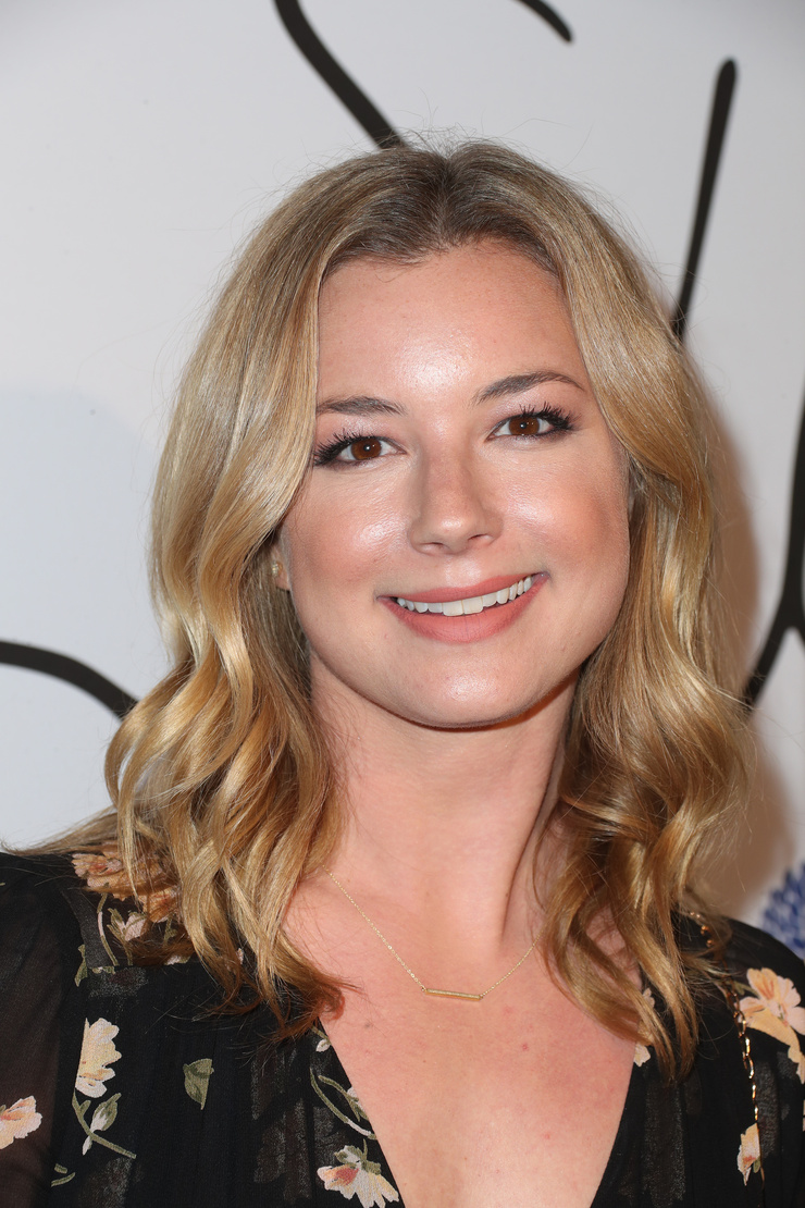 Picture of Emily VanCamp