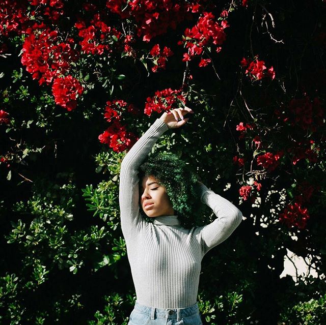 Picture of Lee Velvet