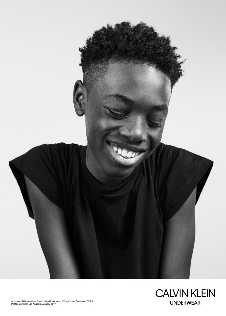 Alex R. Hibbert image