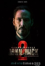 Picture of John Wick: Chapter 2 (2017)