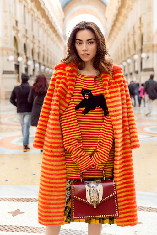 Picture of Ho Ngoc Ha