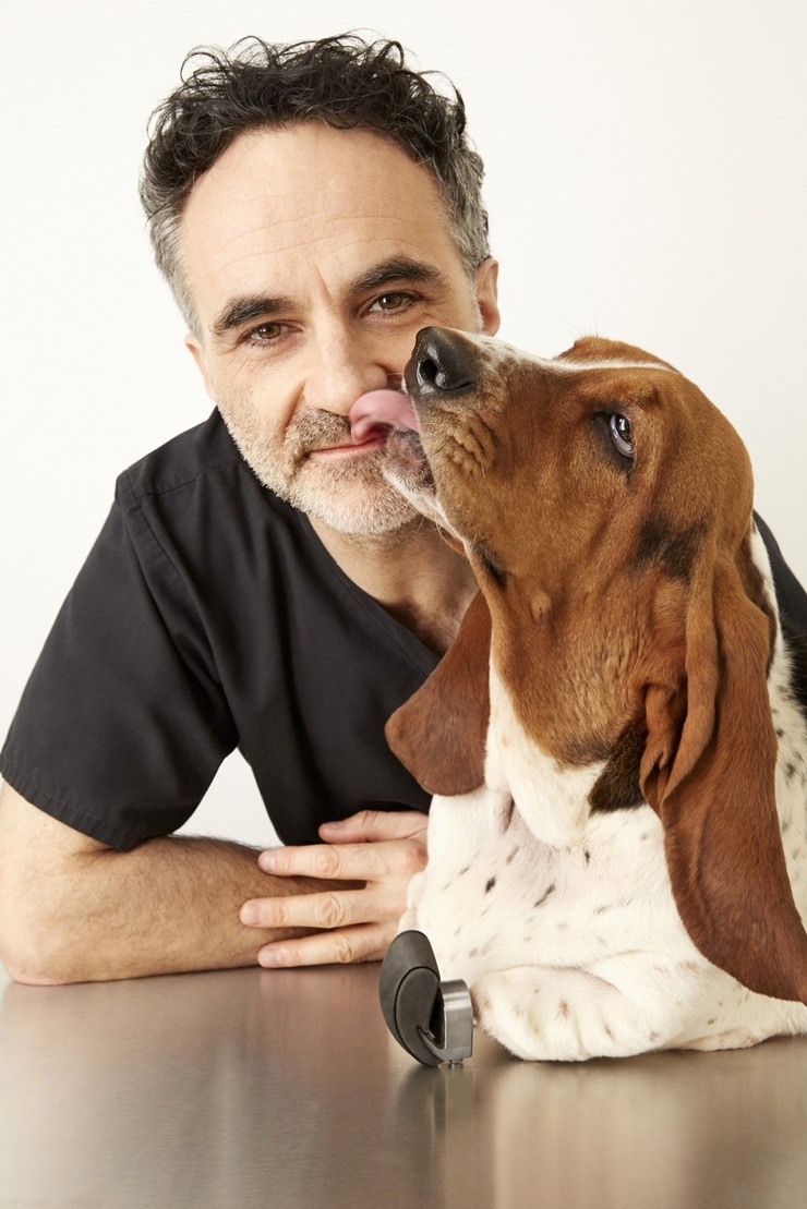 Picture of Noel Fitzpatrick