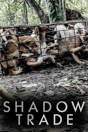 Picture of Shadow Trade (2014)