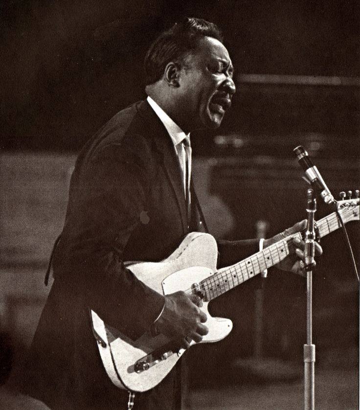 Picture of Muddy Waters