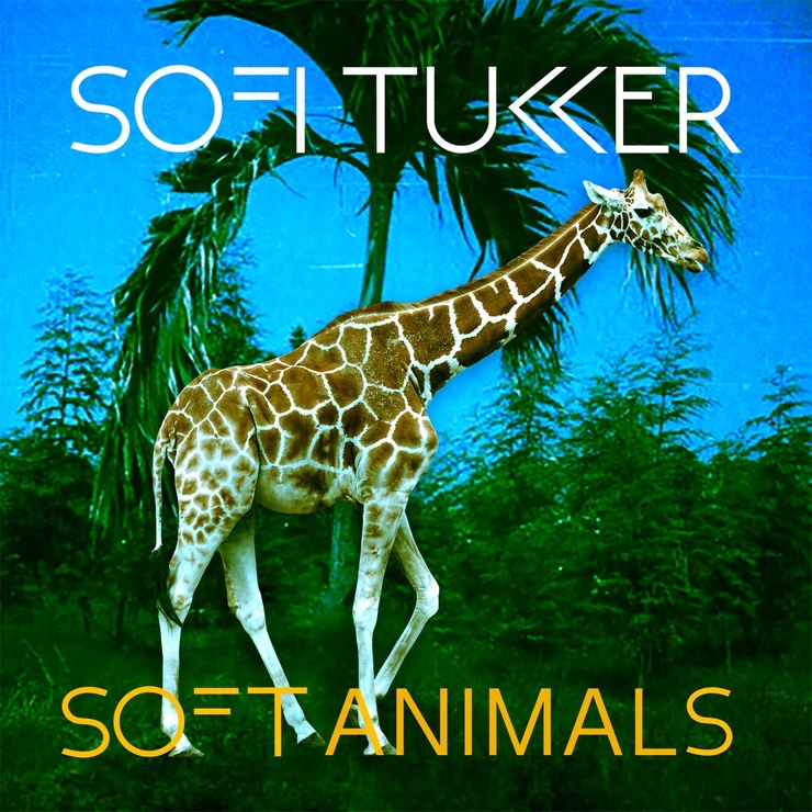 Picture of Soft Animals