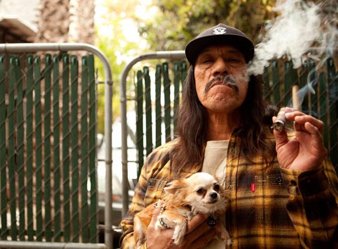 Picture of Danny Trejo