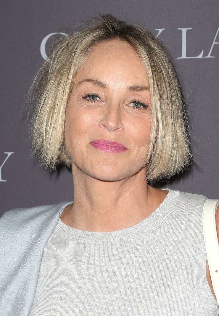 Picture of Sharon Stone
