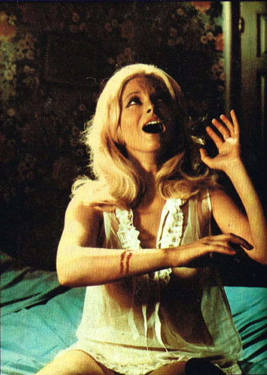 Image of The Devil's Nightmare