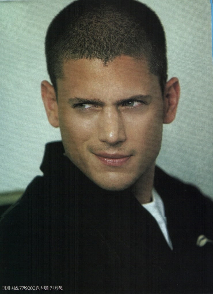 Picture of Wentworth Miller