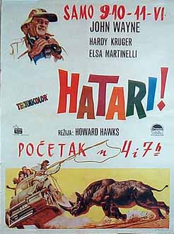 Picture of Hatari!