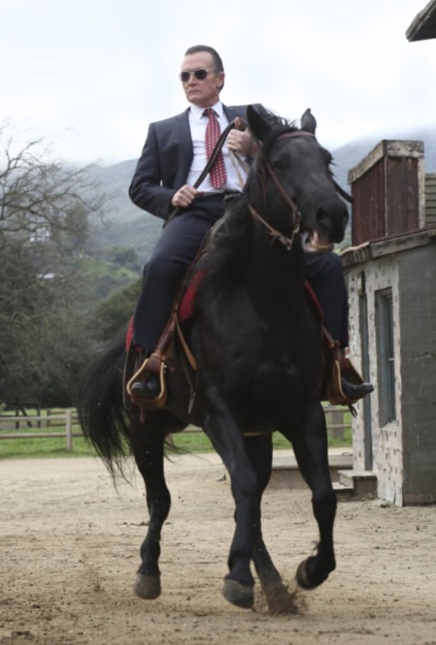 Picture of Robert Patrick