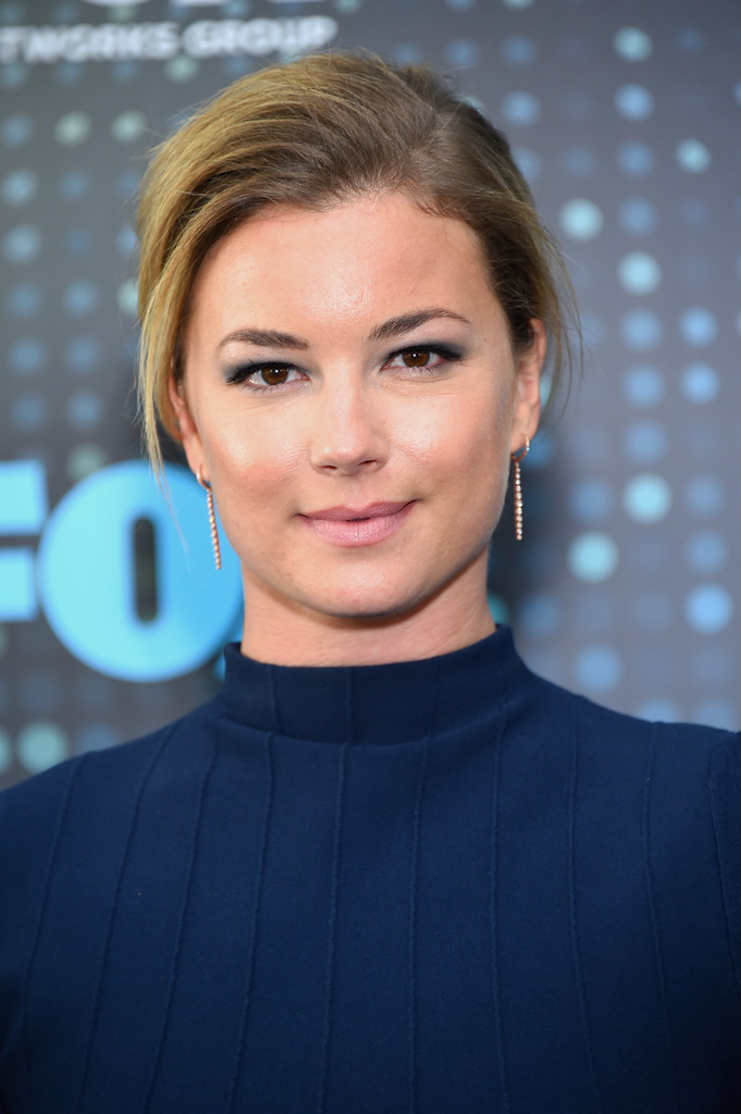 Picture of Emily VanCamp