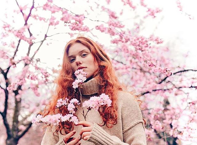 Matilda Nilsson picture