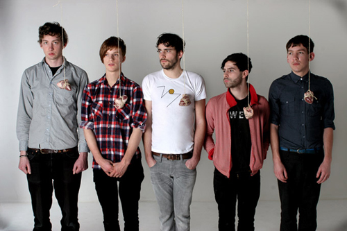 Picture of Foals