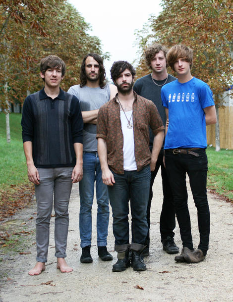 Picture of Foals