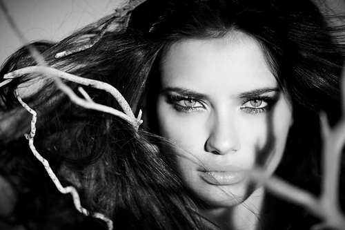 Picture of Adriana Lima