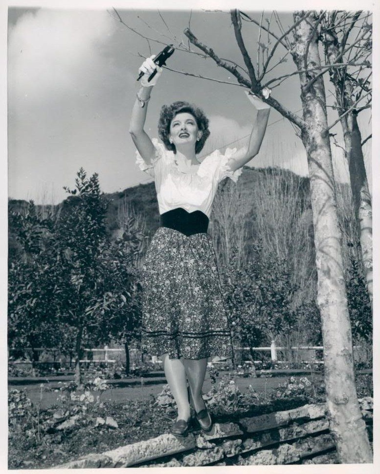 Picture of Myrna Loy