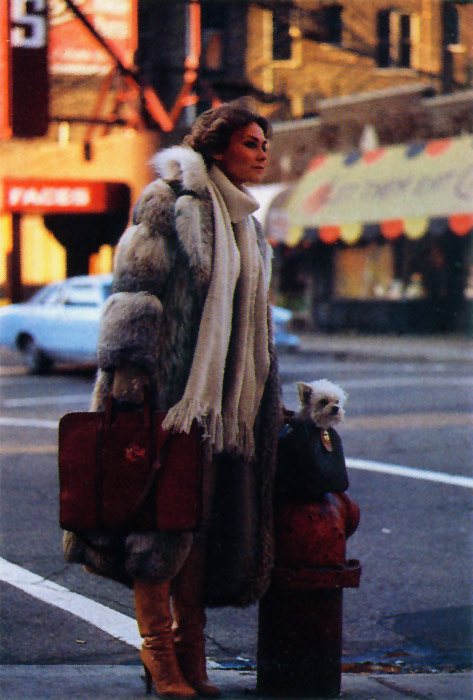 Image of Candace Collins