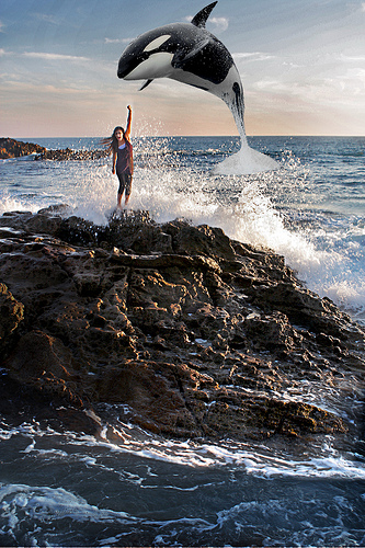 Picture of Free Willy (1993)