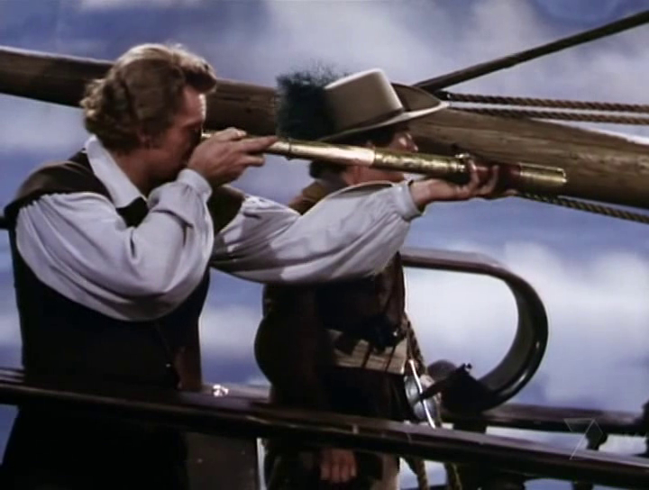 Image of The Golden Hawk