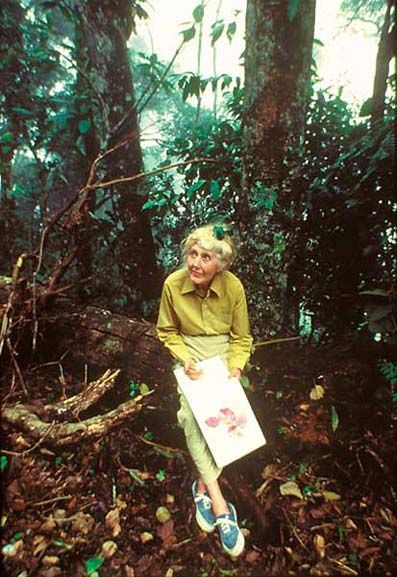 Margaret Mee image