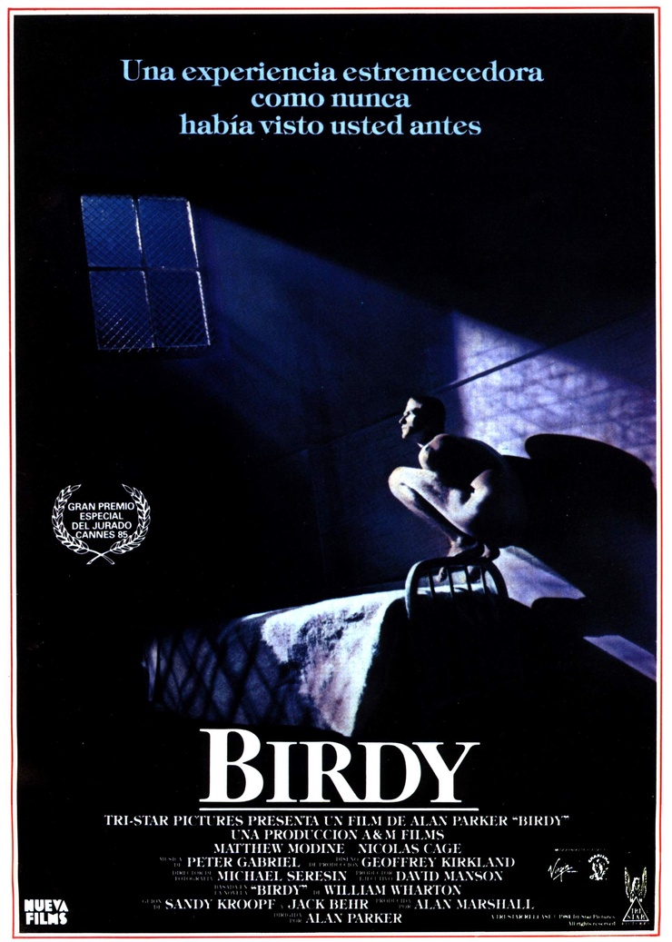 Image of Birdy